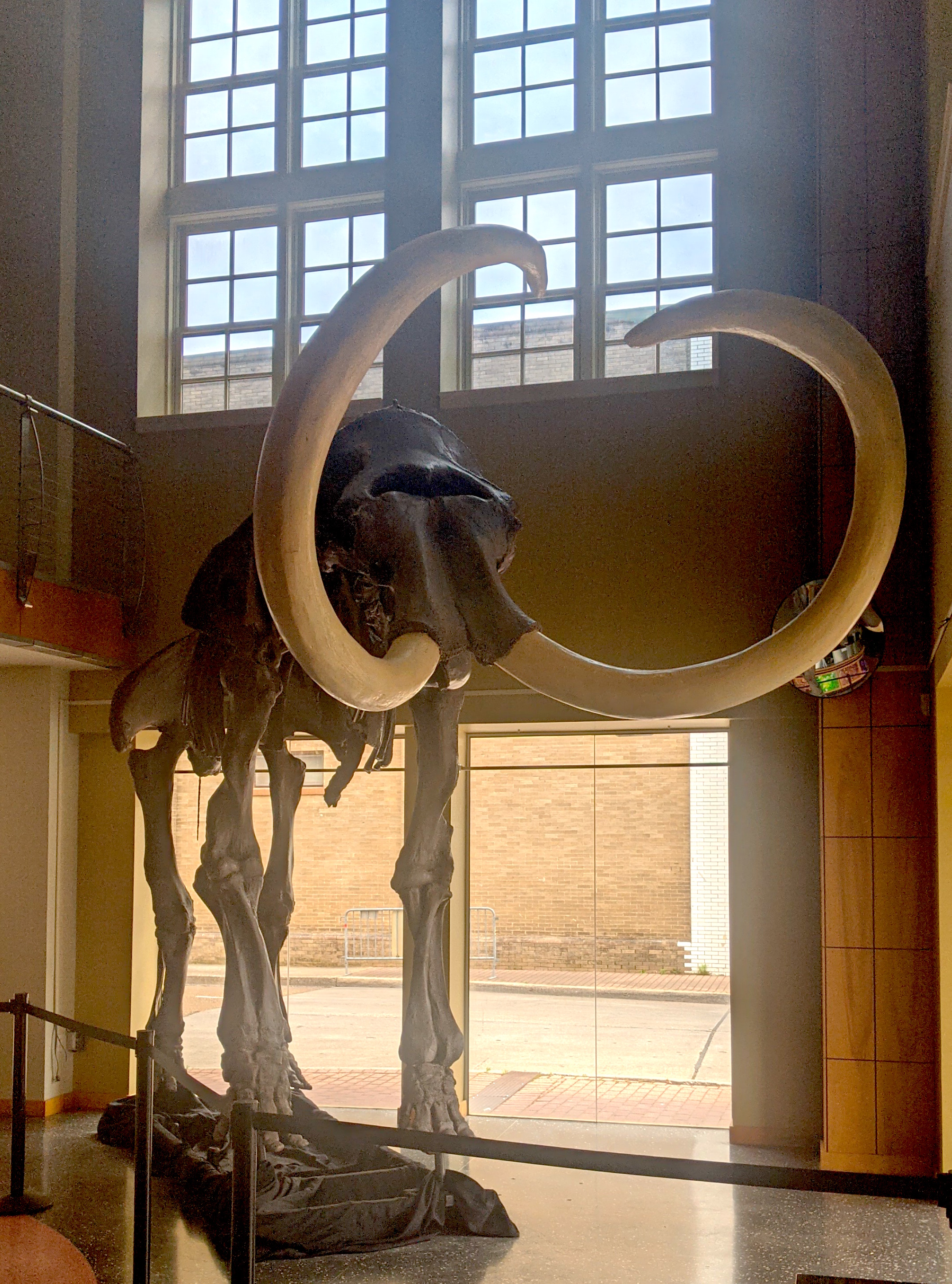 They’re huge! Find out what’s now on display at the Lafayette Science ...