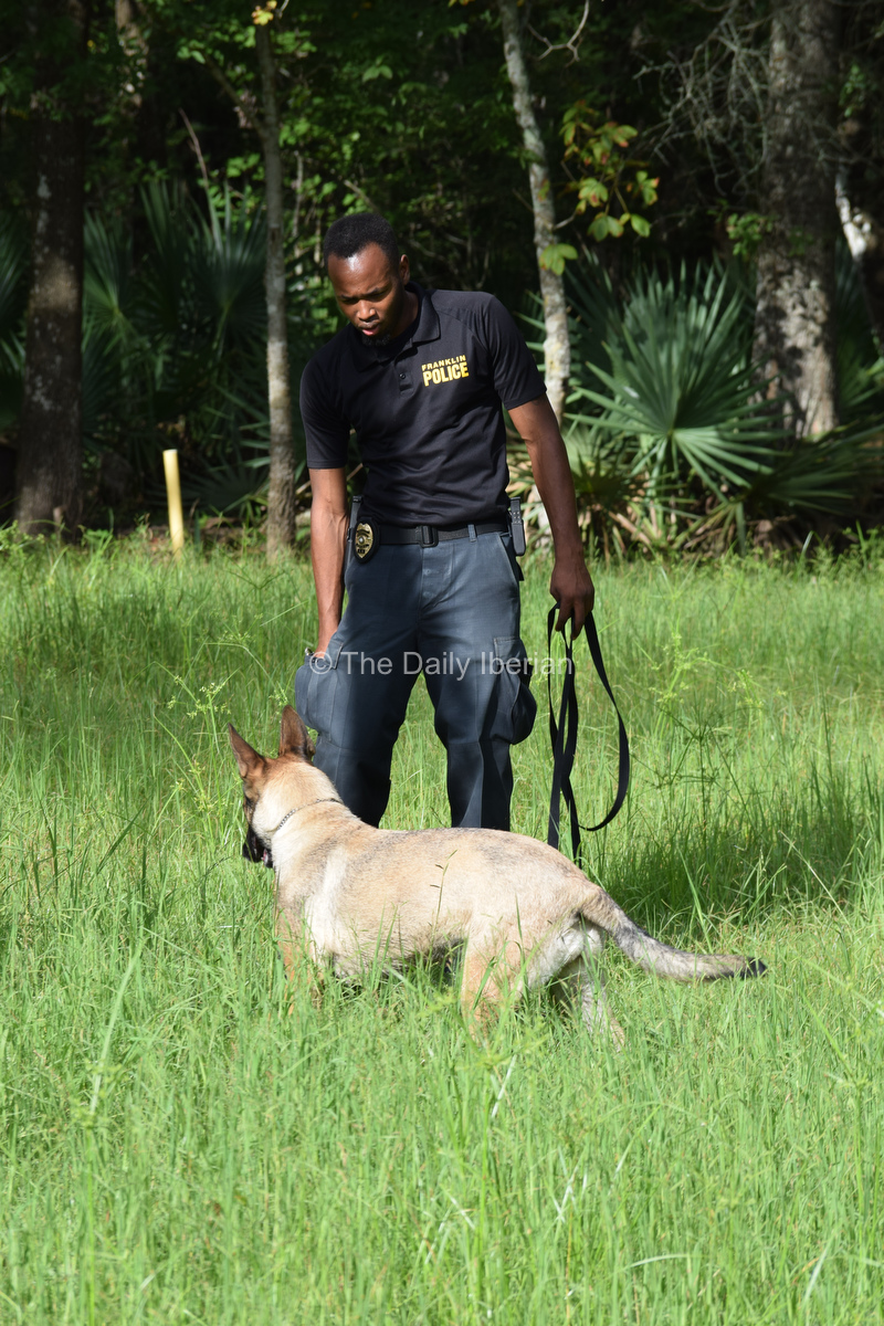 Constant training - The Daily Iberian | The Daily Iberian