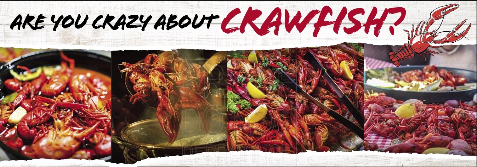 Are you CRAZY about CRAWFISH? | The Daily Iberian