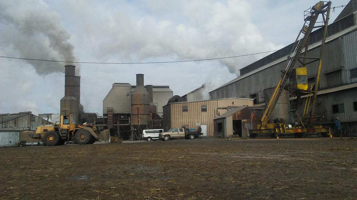 Delta Biofuel announces $100 million investment | The Daily Iberian