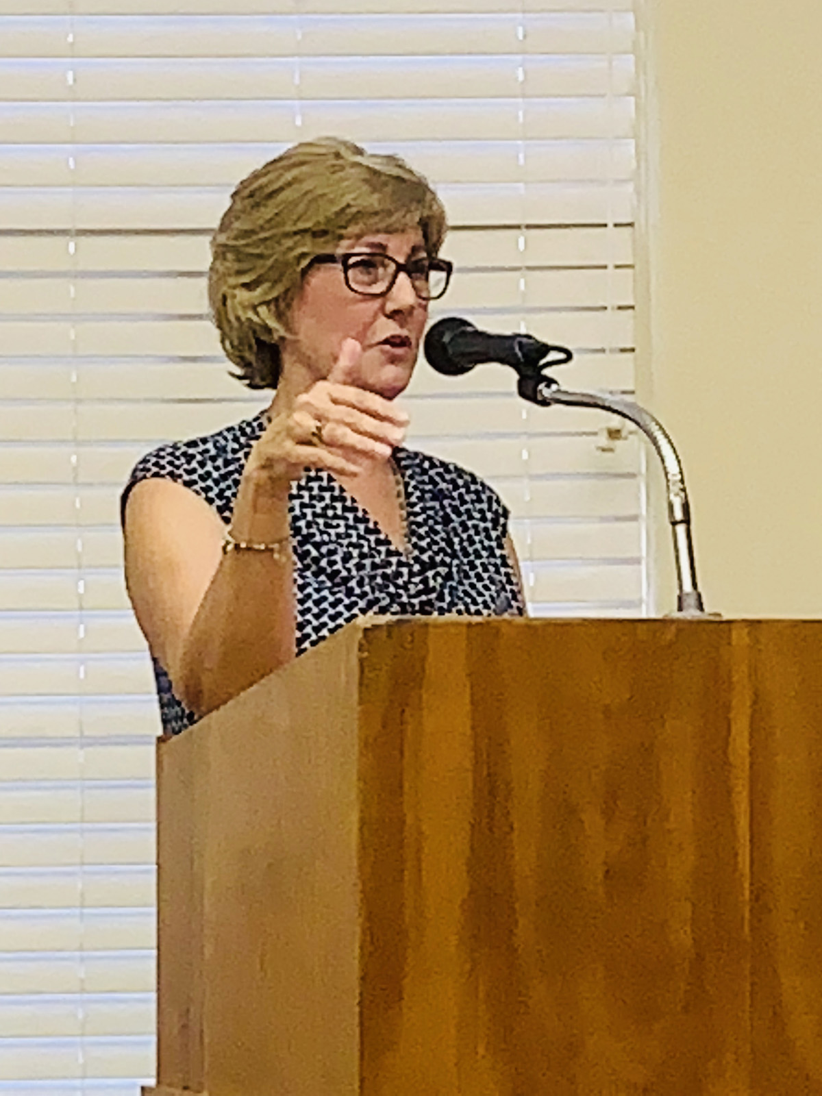 Franklin mayor, police chief take aim at gun violence | The Daily Iberian