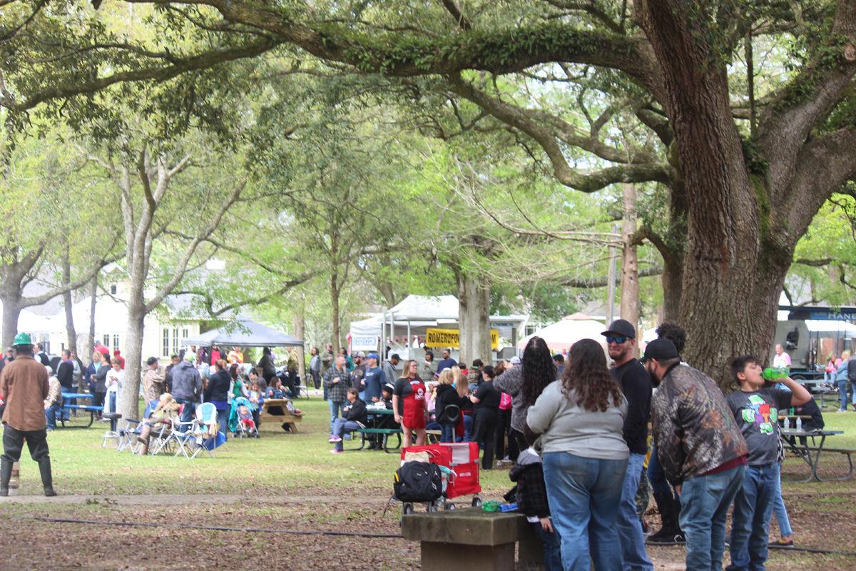 Festival of Live Oaks combines with craft event | The Daily Iberian