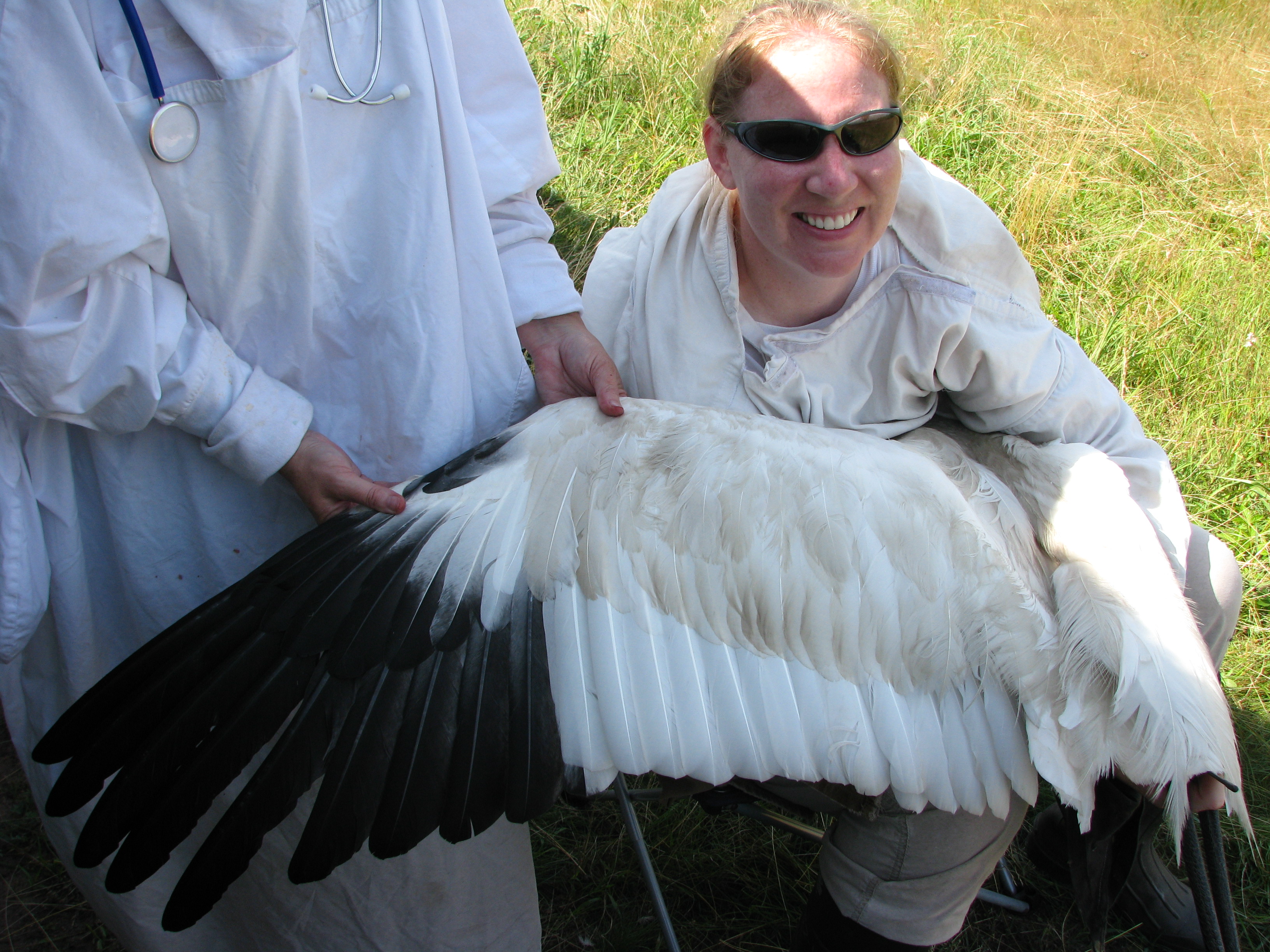 LDWF Biologist’s Whooping Crane Family Photo: Top 10 in the World | The ...