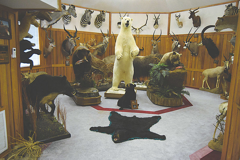 Segura’s trophy room is a natural history museum’s rival | The Daily ...