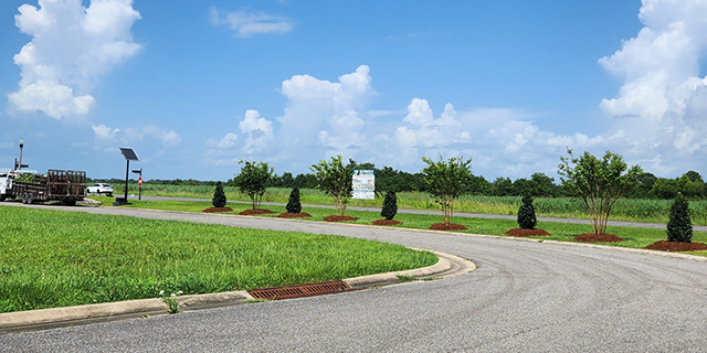 News for New Iberia and the surrounding areas | The Daily Iberian