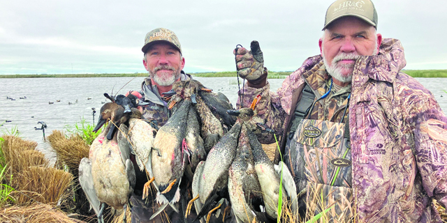 Warm spell triggers hot hunting for ducks in western Louisiana | The ...