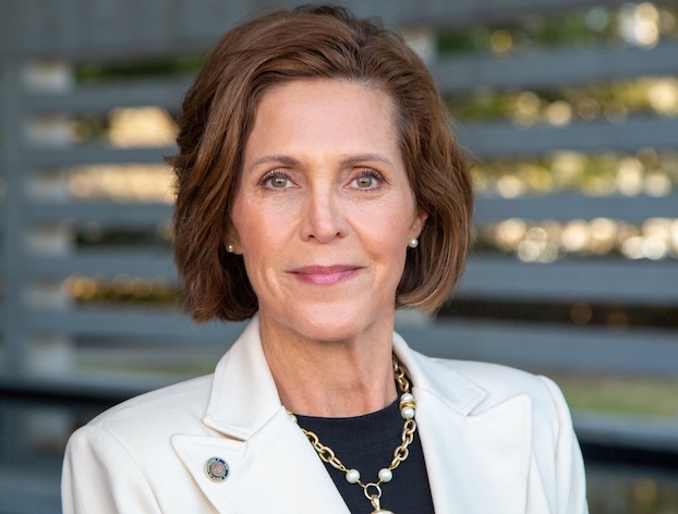 La. needs both small business, multi-billion dollar investments, LED ...